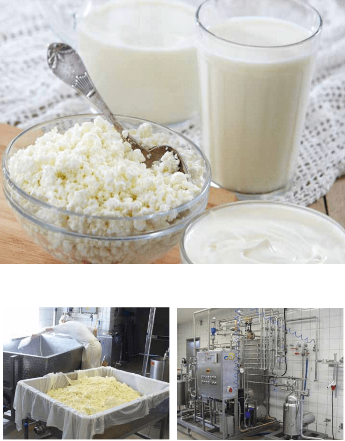 CHEESE MAKING EQUIPMENT - STI GB Limited